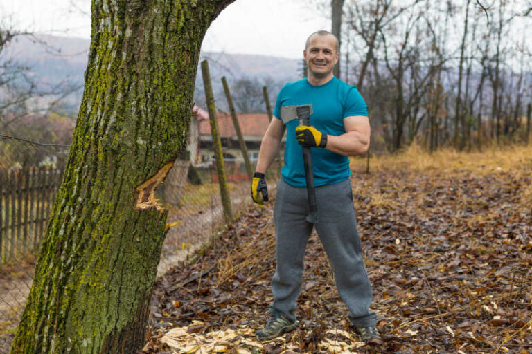 How To Chop Down A Tree With An Axe - Axe Adviser