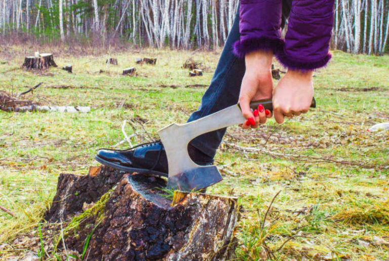 Hatchet Vs. Tomahawk – Comparison Guide - Axe Adviser