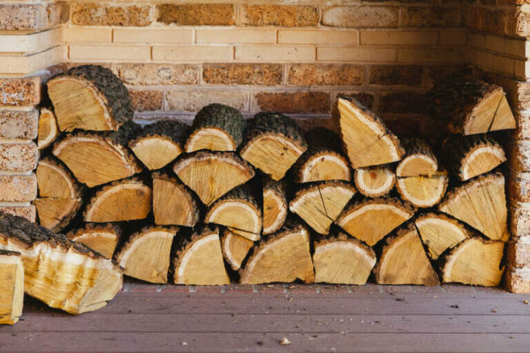 Mulberry Firewood – How Good Is It To Burn? - Axe Adviser