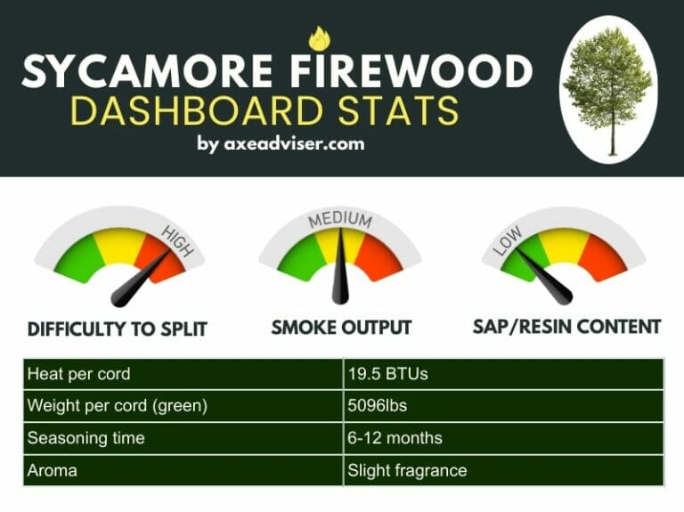 Sycamore Firewood – Is It Good For Burning? - Axe Adviser