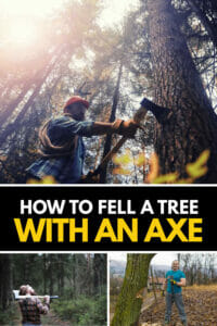 How To Chop Down A Tree With An Axe - Axe Adviser