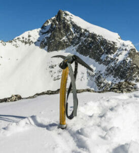 What Is An Adze? Parts, Types & Uses - Axe Adviser